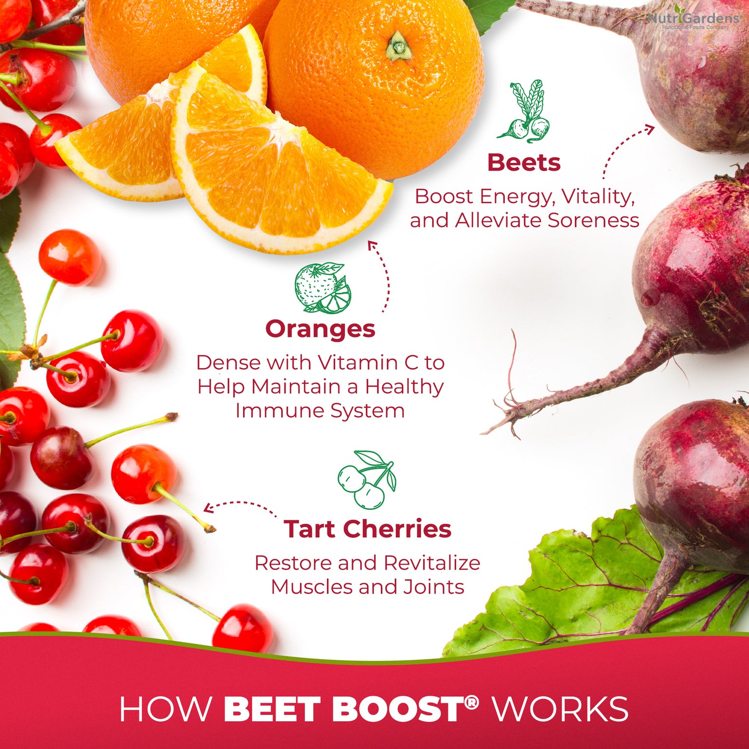 BEET BOOST® - Best Beet Root Powder - Nutrigardens – NutriGardens