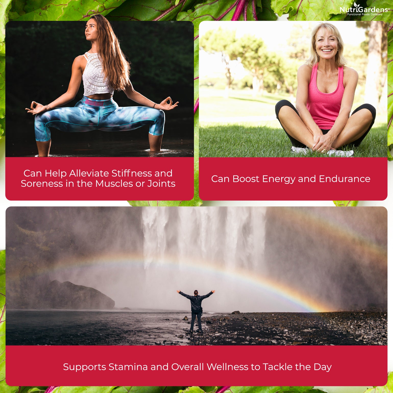 BEET BOOST® - Best Beet Root Powder - Nutrigardens – NutriGardens