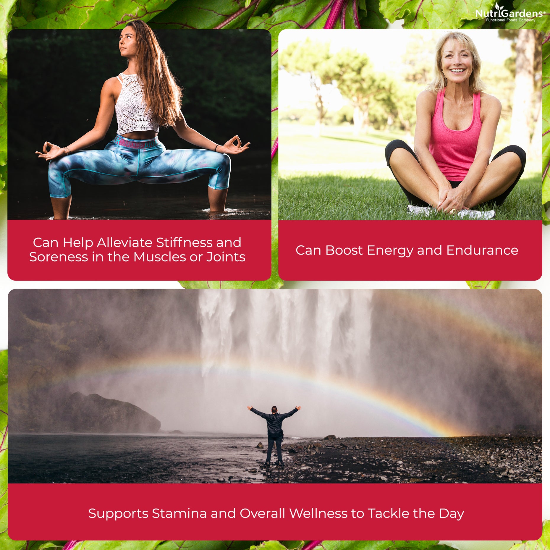 BEET BOOST® - Best Beet Root Powder - Nutrigardens – NutriGardens