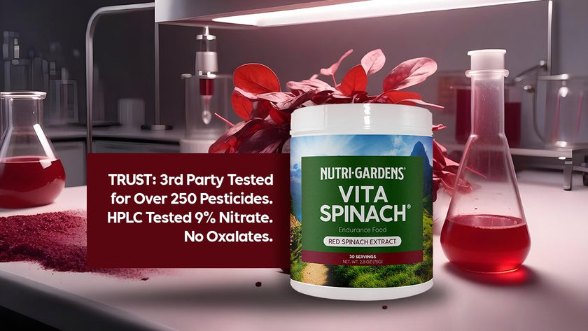VITA SPINACH® - Red Spinach Extract Supplement - Nutrigardens ...