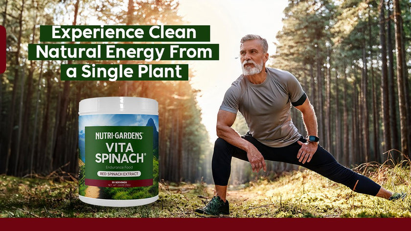 VITA SPINACH® - Red Spinach Extract Supplement - Nutrigardens ...