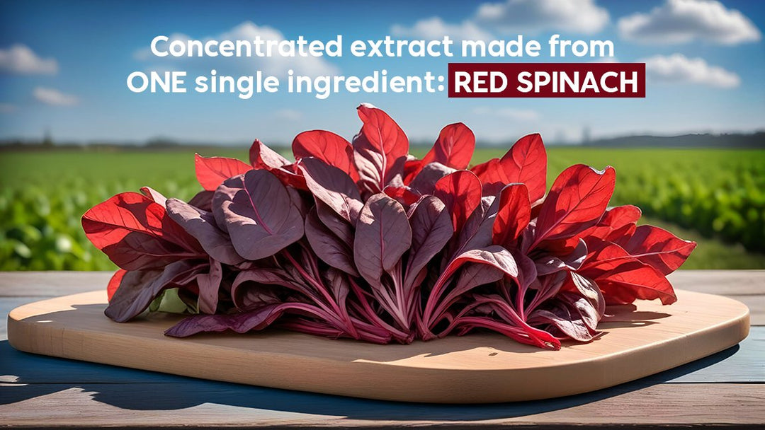 VITA SPINACH® - Red Spinach Extract Supplement - Nutrigardens ...