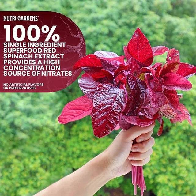 VITA SPINACH® - Red Spinach Extract Supplement - Nutrigardens ...